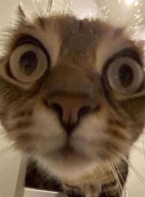 Nguyễn Quốc Hưng On Medium Curated Some Lists