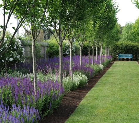 Awesome Fence With Evergreen Plants Landscaping Ideas 25