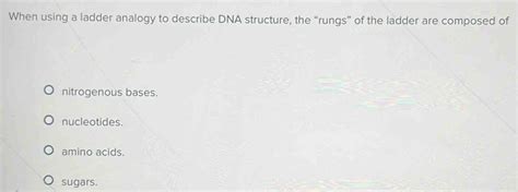 Solved When Using A Ladder Analogy To Describe Dna Structure The
