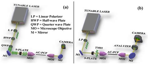 Transmission Of Orbital Angular Momentum And Cylindrical Vector Beams