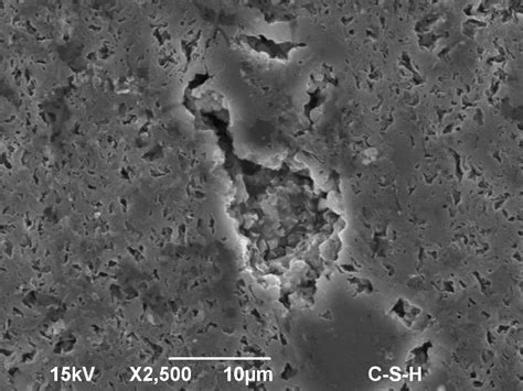 C S H Sem Micrograph Showing Morphology Of The Microstructure Download Scientific Diagram