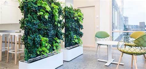 Advantages And Disadvantages Green Wall 2 شرکت دیوار سبز