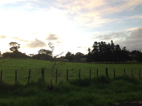 Sogen Econetworks エコネットワークス