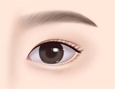 [쌍꺼풀 종류] 연예인 눈으로 나에게 맞는 쌍꺼풀 라인종류 알아보자 네이버 블로그