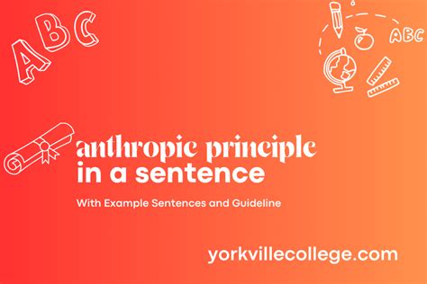 How To Use Anthropic Principle In A Sentence Easy Examples