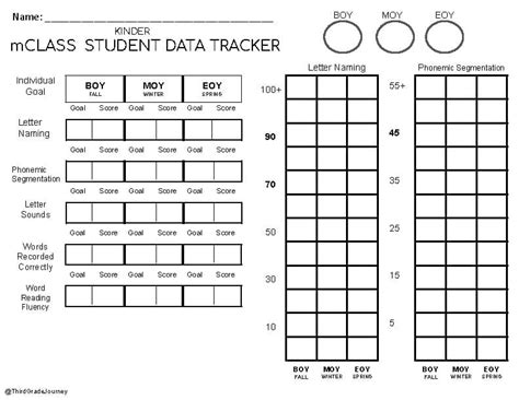 Mclass Dibels Data Tracker Bundle Kinder 1st 2nd 3rd And 4th