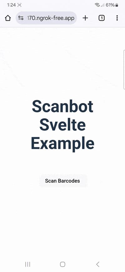 build a barcode scanner with svelte scanbot sdk