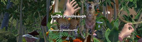Vr Jungle Passthrough Handtracking On Sidequest Oculus Quest Games