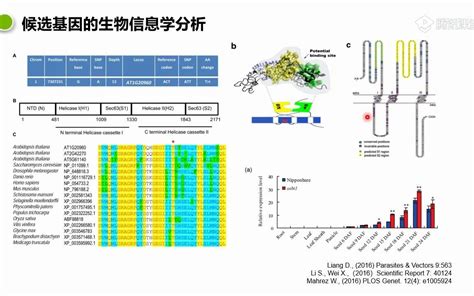 【高清教程】转录组分析视频课程 哔哩哔哩 Bilibili