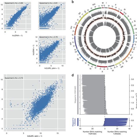 Analysis Of The Saccharomyces Cerevisiae S228c Transcriptome By Direct Download Scientific