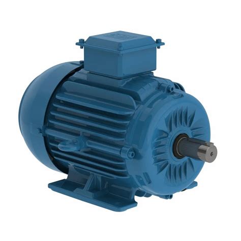 Weg High Efficiency Ie2 3 Phase Cast Iron Induction Motor At ₹ 5000 Piece In Bengaluru