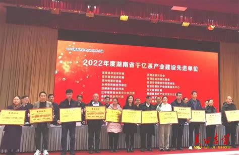 “2023湖南省茶叶行业工作会议”举行！“湘西黄金茶”斩获多项荣誉 湘西 新湖南