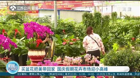 买盆花把美丽带回家 国庆假期花卉市场迎小高峰 荔枝网新闻