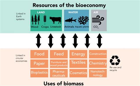 Why Bioeconomy Monitoring Monitoring Biooekonomiede