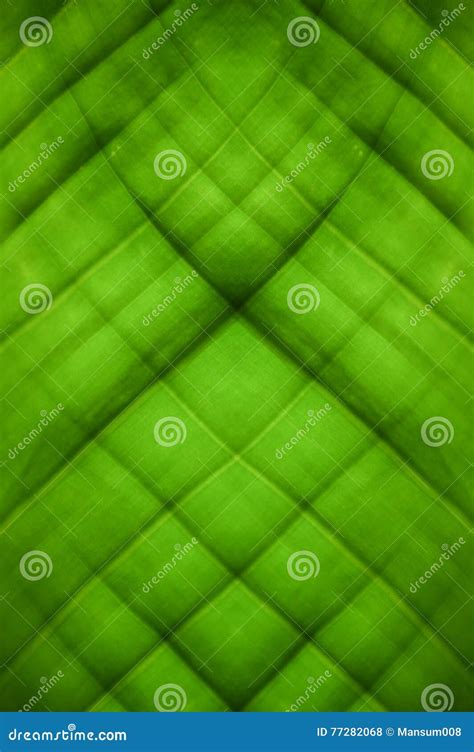 Art Green Abstract Background Stock Illustration Illustration Of