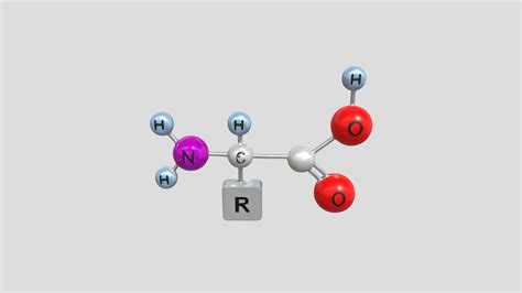 Amino Acid Molecular Structure Diagram 3d Model By Yusuf Arslan111