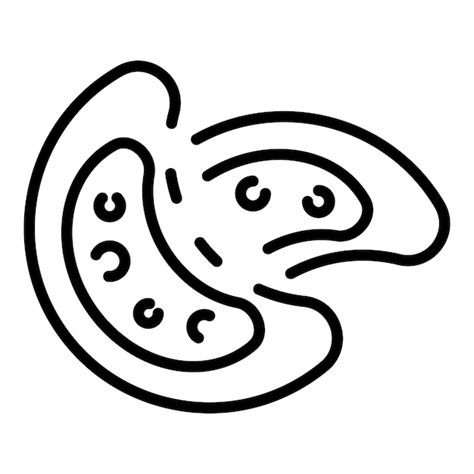 Premium Vector Bacteria Multiplication Icon Outline Bacteria