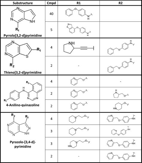 Key Structural Scaffolds In Her2 Dataset Download Scientific Diagram