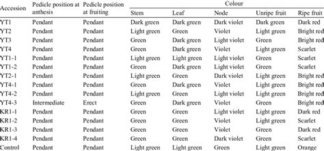 Morphological Characteristics Of Pepper Germplasm Download Table
