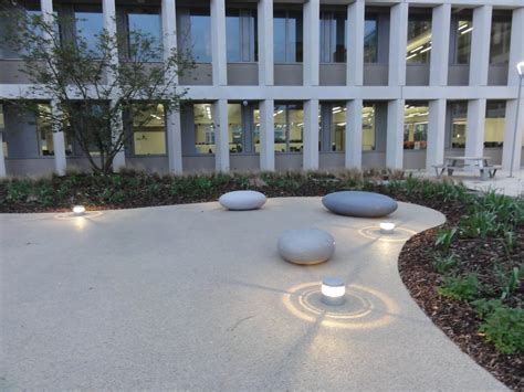 Cambridge Assessment The Triangle Project Handover Open Spaces Landscape And Arboricultural
