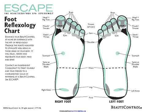 Reflexology Chart 2 Pdfsimpli