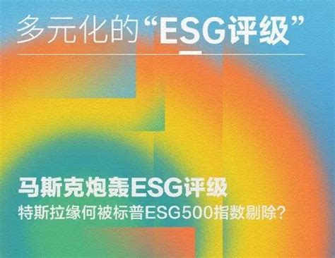 从特斯拉评级看全球esg现状新浪财经新浪网