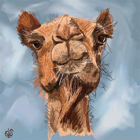 How To Draw A Camel • Inspiration · Sketch A Day