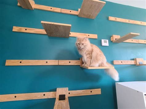 Modular Cat Wall Etsy