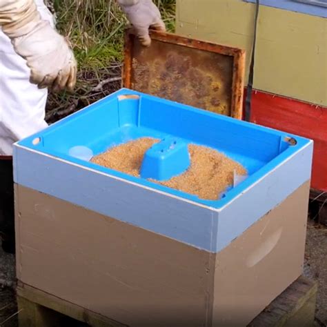 Ceracell Beekeeping 8 Frame Top Feeder Buzzbee Beekeeping