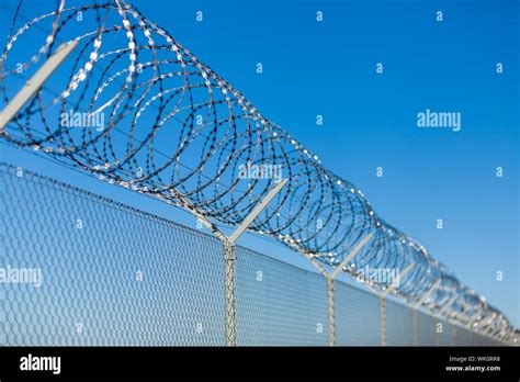Coiled Razor Wire With Its Sharp Steel Barbs On Top Of A Wire Mesh Perimeter Fence Ensuring