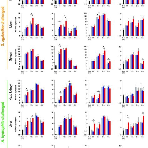 Expression Patterns Of Key Genes Of Four Immune Related Pathways As