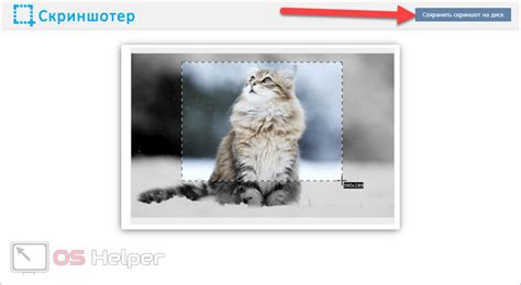 Как сделать скриншот на ноутбуке Windows 7 и где его потом искать — Библиотека программиста