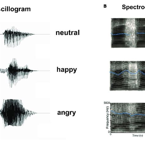 Acoustic Properties Of Stimulus Materials A Oscillogram And B