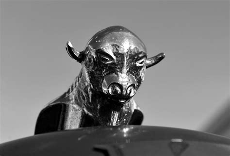 1940s Kaiser Bison Hood Ornament Photograph By David Lee Thompson Pixels