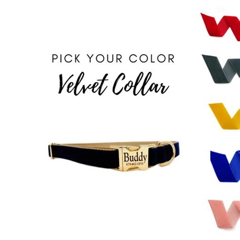 Lazer Etched Personalized Velvet Dog Collar 25 Colors Etsy