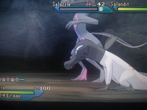 102 Best Salazzle Images On Pholder Shiny Pokemon Nuzlocke And Poke