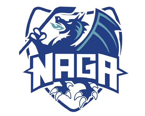 Naga直排輪俱樂部 直排輪教學直排輪課程台中直排輪教學龍井區直排輪課程