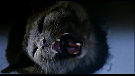 Deux Yeux Maléfiques George A Romero Et Dario Argento Tortillapolis