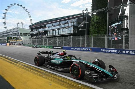 Lizard On The Track Disrupts Formula 1 Practice In Singapore Gulf Press