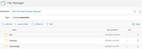 Transfer Data To Partek Flow Server Using Globus Getting Started With Partek Flow