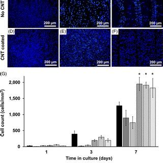 Representative DAPI Fluorescence Microscopy Images Of All Substrates Download Scientific