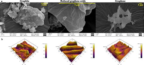 A SEM And B AFM Images For Determining The Surface Morphology And