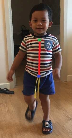 A Sample Result From Open Pose Skeleton Extraction Download Scientific Diagram