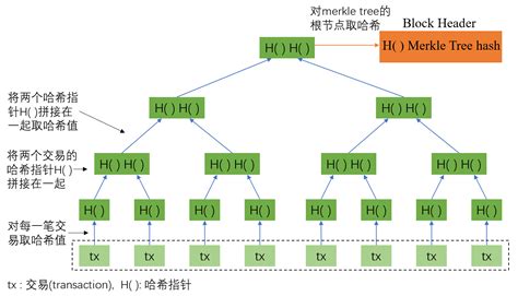 比特币技术原理与应用 2 数据结构 登链社区 区块链技术社区