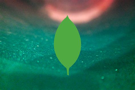 Displaying Mongodb Data