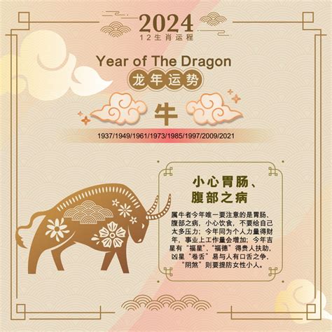 2024年苏民峰大师的12生肖运程解析！（下） Next Trend