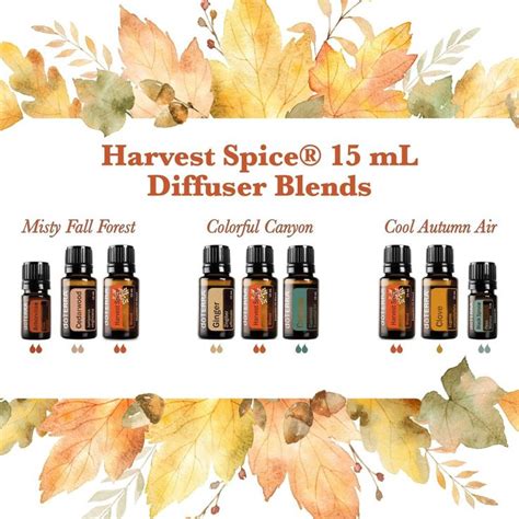 Harvest Spice Diffuser Blends Diffuser Blends Oils Essential Oils