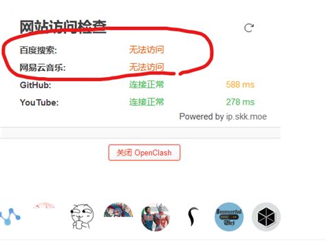 [bug] 网络访问检查那里，上面两行国内网络显示“无法访问”，但其实国内网络是正常的，，， · issue 3286
