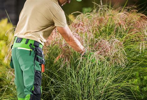 Galabau In Kirchhundem Wir Pflegen Ihren Garten
