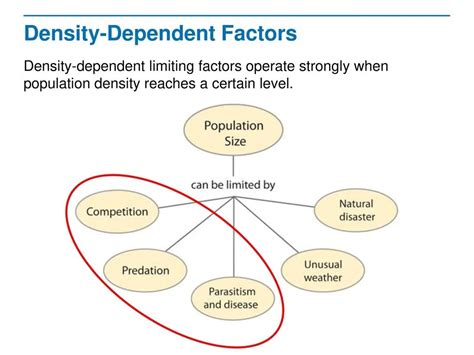 Density Independent Limiting Factors Worksheet Answers